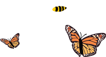 Functional Chocolate | Wellness That Tastes as Good as It Feels – The ...